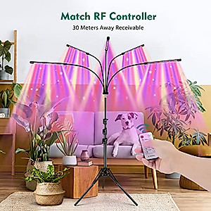 AMBOR Grow Lights for Indoor Plants with Stand, [5-Heads] Floor Plant Light, 150W Full Spectrum LED Plant Grow Lamp with 4 8 12H Timer, 10 Dimmable Brightness, Remote Control and Auto ON/Off