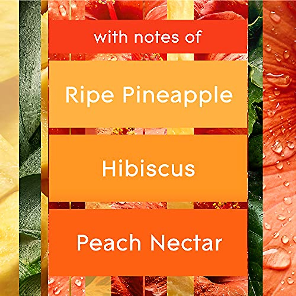 Glade Candle Jar, Air Freshener, Hawaiian Breeze, 3.4 oz, 2 Count