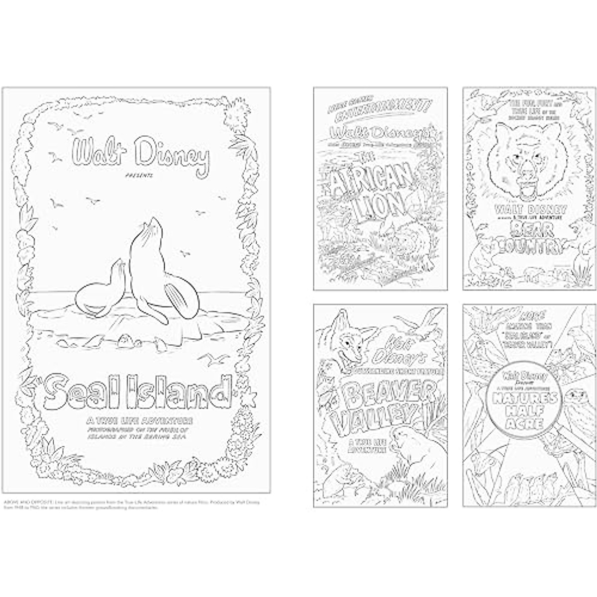 Art of Coloring: Disney 100 Years of Wonder: 100 Images to Inspire Creativity