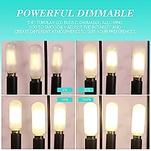 AMDTU E12 LED Bulb Daylight White 4000K, Frosted Candelabra Light Bulbs 40 Watt LED Dimmable, 4W Tubular T6 T25 Chandelier Light Bulb, Candle Light Bulb UL Listed, 6 Pack