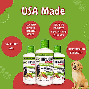 Liquid-Vet by COOL PET Holistics K9 Hip & Joint Advanced Formula, Bacon Flavor, 32 oz