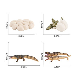 Fantarea 4 PCS Wild Wildlife Animal Figures Creatures Action Models Life Cycle Crocodile Alligator Figure Ornament Cake Toppers Party Favors Supplies Cognitive Toy for Boys Girls Kids