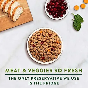 Freshpet Healthy & Natural Food for Small Dogs/Breeds, Fresh Grain Free Chicken Recipe, 1lb