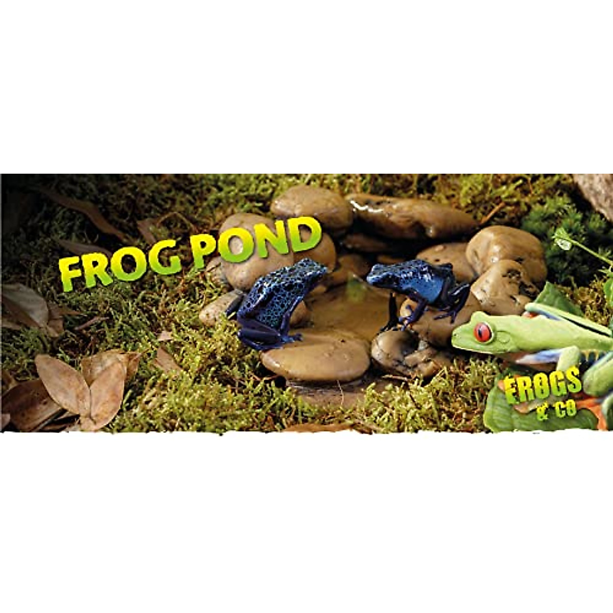 Exo Terra Frog Pond, Amphibian Terrarium Water Source, Small