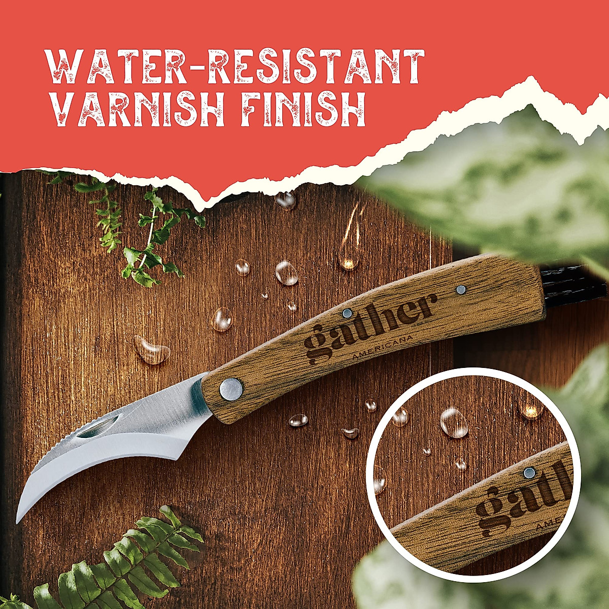 Gather Americana Mushroom Foraging Knife - 3 Inches High Carbon Steel Blade - Boar-Bristle Brush and Walnut Handle