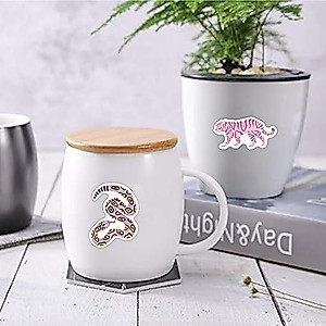 UBOFUGS 110PCS Preppy Vinyl Sticker Party Supplies Vinyl Waterproof Sticker Aesthetic Stickers Decor Pink Party Mobile Phone Stickers for Laptop Water Bottle