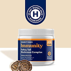 Honest Paws Dog Digestive and Immunity Booster – Turkey Tail Mushroom Blend - Shiitake, Reishi, Maitake Mushroom Extract Formula - No Filler, No Additives - (1.05 oz)