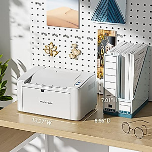 Pantum P2502W Black and White Laser Printer with Wireless Printing, Compact Size, 23 Pages per Minute (V5J87A)