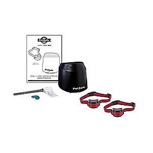 PetSafe Stay + Play Wireless Dog Fence for 2 Dogs: Large/Stubborn Dogs