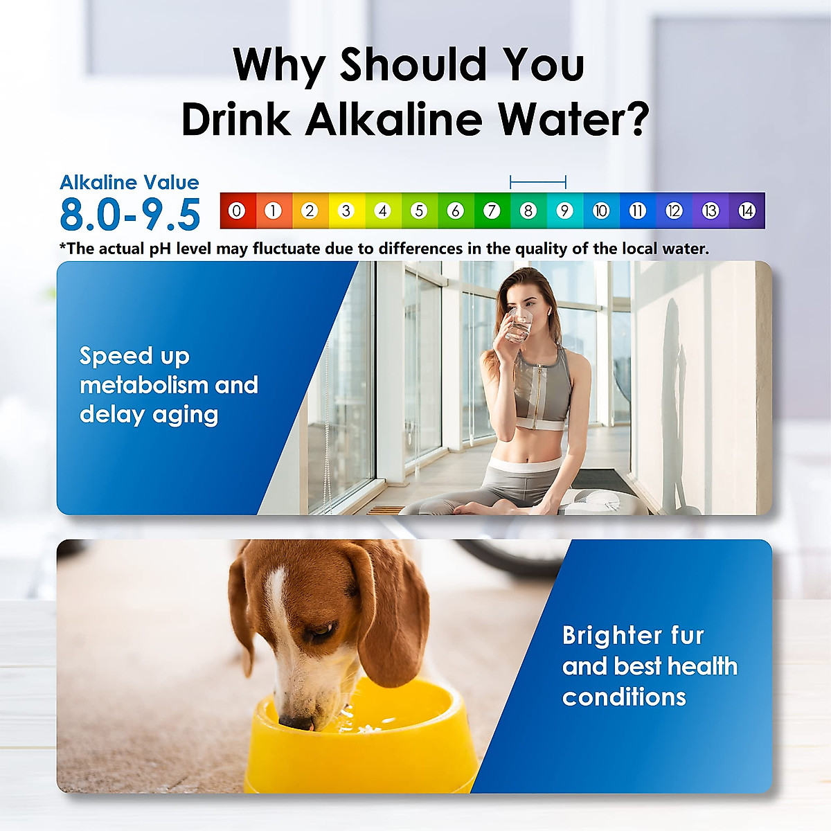 Waterdrop Alkaline Water Filter Dispenser, Large 40-Cup, Up to PH 9.5, Healthy, Clean & Toxin-Free Mineralized Alkaline Water, 100-Gallon, BPA Free, Black (1 Filter Included)