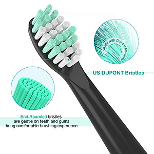 Relax Artist Toothbrush Replacement Heads Compatible with Fairywill Toothbrush Heads Handle Fairywill FW-507/508/551/515/917/959/2011 FW-D1/D3/D7/D8 for Fairywill Electric Toothbrush 8 Count