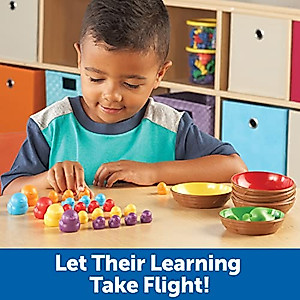 Learning Resources Birds in a Nest Sorting Set, Fine Motor Set, Color Sorting Set for Toddlers, 36 Pieces, Ages 3+