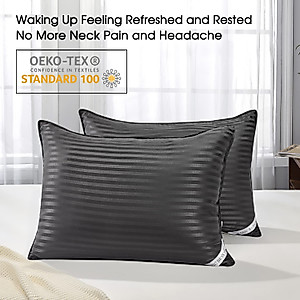 Basic Beyond Bed Pillows for Sleeping - King Size Pillows Set of 2 - Luxury Hotel Collection Down Alternative Pillows, Black, 20x36 Inches