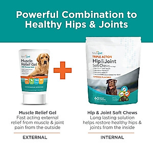 TevraPet Muscle Rub Ointment for Dogs | Fast Pain Relief | Soothing Topical Anti-Inflammatory | 3 fl oz | Lemon Scent