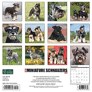 Just Miniature Schnauzers 2023 Wall Calendar