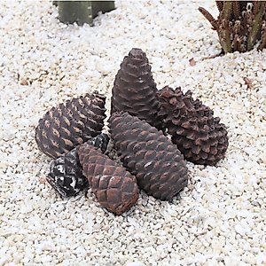 Heyfurni Pine Cones Gas Fireplace Logs, 6 pcs Fire Logs Decorative Ceramic Faux Pinecones in Assorted Sizes for Ventless Propane, Gas Insets, Electric,Ethanol,Gel Fireplaces