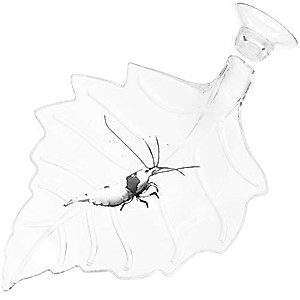 JZMYXA Shrimp Feeding Dish Shrimp Feed Dish Leaf Shaped Bowl
