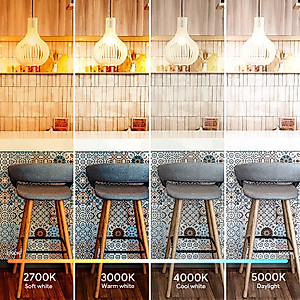 6 Pack Super Bright Light Bulb 150 Watt Equivalent A21 LED Light Bulb, Daylight 5000K, 2600 High Lumens LED Bulb, E26 Base, Non-Dimmable, UL Listed