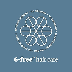Briogeo Scalp Revival Megastrength Dandruff Shampoo, Charcoal + AHA/BHA with Salicylic Acid 3%, Anti-Dandruff Shampoo to Soothe a Dry, Flaky, Itchy Scalp, Vegan, Cruelty-Free, 8.4 fl oz