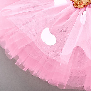 First Birthday Girl Outfit It’s My 1st Birthday Outfits Cake Smash Photo Props Newborn Christmas Outfit Pink Tutu Skirts Set Romper Headband Toddler Summer Clothes Short Sleeve Tutu for Toddler Girls