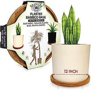 BYB Plant Caddy Stand Saucer with Hidden Wheels. Fits 12 inch or Less Round Planter. Bamboo, Elegant, Modern, Low Profile. Heavy Duty 275 lbs+ Capacity. More Colors/Shapes/Sizes.(Color: Bamboo)