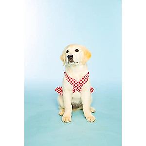 Doggy Parton Red Gingham Overalls Dress for Pets, Small (22120769)