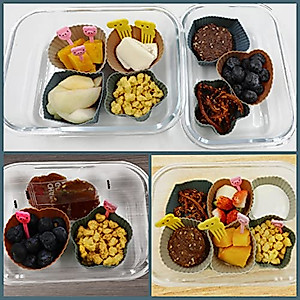 Gpurplebud Silicone Lunch Box Dividers - 45 PCS Bento Box Accessories Set 40 Silicone Bento Box Inserts with 5 Food Fruit Picks Cupcake Liners Reusable Lunch Accessories (4 Colors)