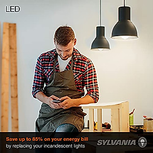 SYLVANIA LED Light Bulb, 75W Equivalent A19, Efficient 12W, Medium Base, Frosted Finish, 1100 Lumens, Soft White - 1 Pack (79291)