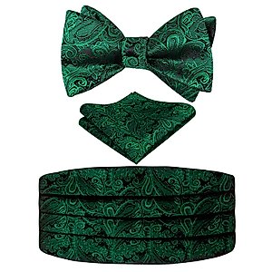 Alizeal Mens Classic Paisley Woven Self-tied Adjustable Bow Tie, Cummerbund and Pocket Square, Dark Green