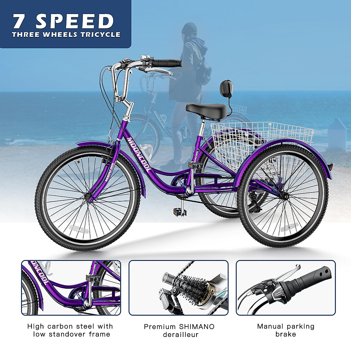 Barbella Adult Tricycles, 7 Speed Adult Trikes 20/24/26 inch 3 Wheel Bikes, Cruise Bike with Basket for Seniors, Women, Men for Recreation, Shopping, Exercise, Multiple Colors
