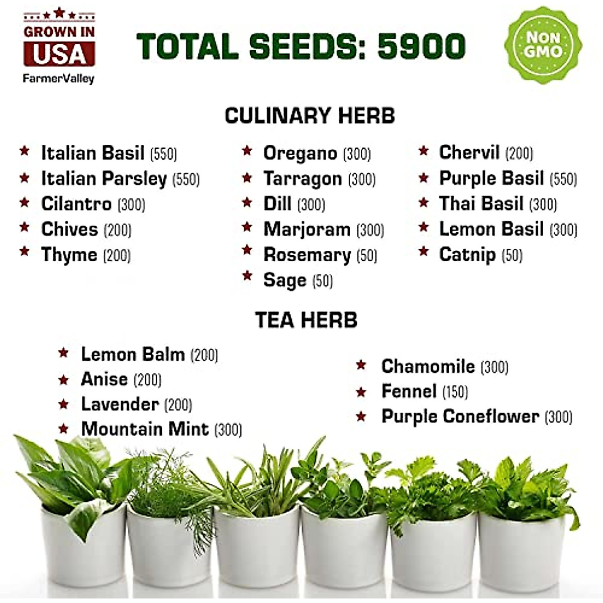 Most Popular Heirloom Non GMO Tea and Herb Seeds for Planting Indoor and Outdoor Garden