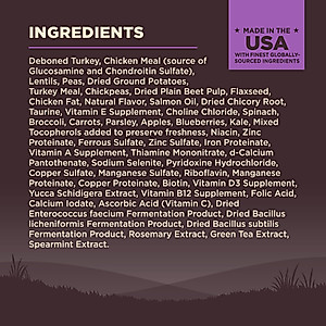 Wellness CORE Grain-Free Senior Dry Dog Food, Made in USA with Natural Ingredients, No Meat by-Product, Fillers, Artificial Flavors, or Preservatives (12-Pound Bag, Turkey)