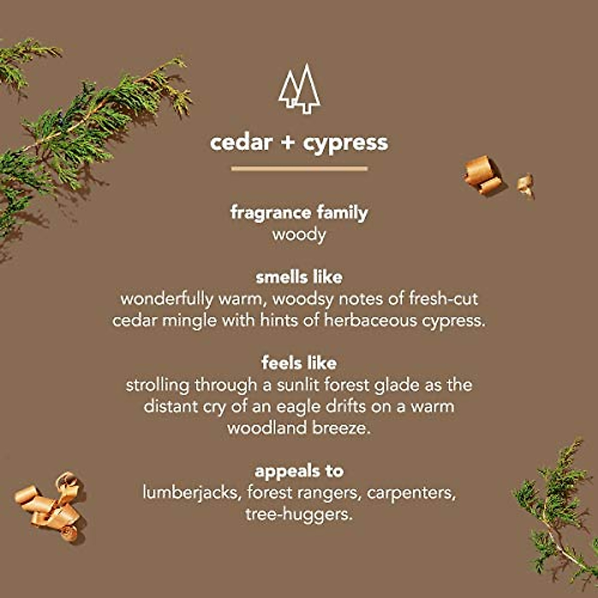 Method Men Body Wash, Cedar + Cypress, Paraben and Phthalate Free, 18 fl oz (Pack of 1)