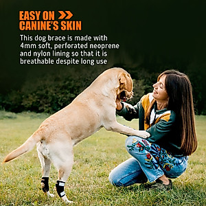 NeoAlly® - Rear Leg Hock Brace with Metal Spring Strips, Dog Leg Brace for Rear Leg, Hock and Ankle Support, Rear Dog Leg Brace for Smaller Dogs, Short Version, Medium, 1 Pair