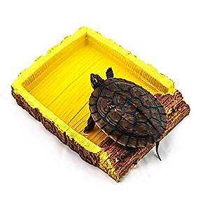 AQUA KT Reptile Ramp Water Bowl Food Dish for Lizard Snake Tortoise Beard Dragon Amphibians Feeding Terrarium Habitat