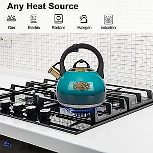 Tea Kettle Stovetop Whistling Kettle Teapot, Food Grade Stainless Steel Teakettle for Stove Top with Heat Proof Ergonomic Handle, 3.1 Quart Tea Pot