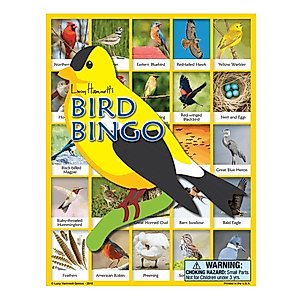Lucy Hammett - Bird Bingo Game - 6 Unique Picture Boards, 42 Informative Cards - Family Learning Fun for All Ages