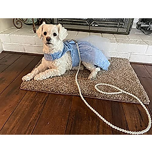 Cdycam 120cm 4ft Custom Pearls Beaded Pet Dog Cat Training Walking Leash with Elegant White Peal Dog Collar