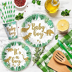 HIPVVILD Dinosaur Baby Shower Decorations for Boy - Jungle Safari Theme Baby Shower Party Supplies Include Plates, Cups, Napkins, Tablecloth, Straws, Cutlery, Dinosaur Baby Boy Decorations | Serve 24