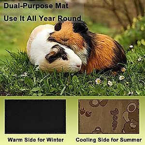 MildMist Guinea Pig Hideout for Small Animal - Washable Guinea Pig Bed for Guinea Pig, Chinchilla, Hamsters, Hedgehog