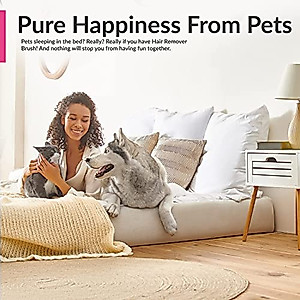 WELLTED Pet Hair Remover for Couch Furniture Clothing Car Seat Lint Brush - Fur Remover - Fur & Lint Removal - Dog & Cat Hair Remover - Double-Sided Brush with Self-Cleaning Base (Blue)