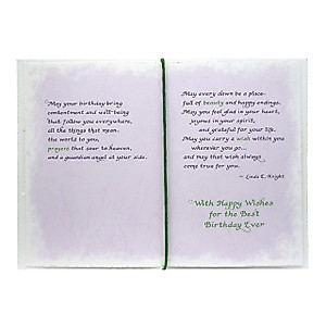 Blue Mountain Arts Birthday Card—Birthday Wishes for a Friend, Family Member, or Someone Special in Your Life (May Your Birthday Bring…)