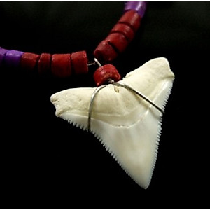 Swimmi Genuine Shark Tooth Necklace for Men, Great White Shark Tooth Necklace, Handmade Wooden Beads adjustable Cords Shark Tooth Necklace for Women Jewelry BA370