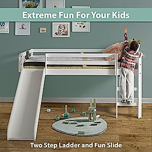 Naomi Home Cindy Kids Loft Bed with Slide, Twin Loft Bed with Slide, Toddler Loft Bed with Slide, Loft Bed Slide with Ladder, Chalkboard, Pine Wood Space Saving Kids Bed Frame for Boys, Girls, White