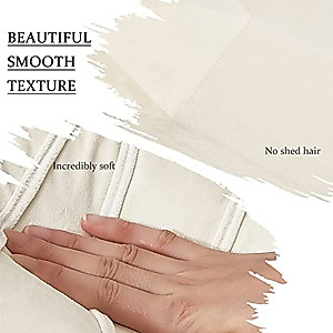 Top Finel Decorative Throw Pillow Covers 18 X 18 Inch,Soft Solid Velvet Pillow Covers Cushion Case for Sofa Bedroom 45 X 45 Cm (Pack of 2) Cream White