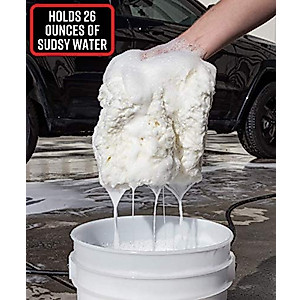 Adam's 10” Professional Wool Wash Pad - Plush Synthetic Car Wash Pad is Gentle On Auto Paint & Accessories Without Worry of Scratches or Swirls - Car Soap & Wax Safe Detailing Tool for Car or Truck