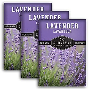 Lavender Seed for Planting - 3 Packets with Instructions to Plant and Grow Edible & Medicinal Lavandula Herbs in Your Home Vegetable Garden - Non-GMO Heirloom Variety - Survival Garden Seeds