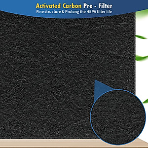 DerBlue 2 Pack C545 True HEPA Filter & 8 Pcs Carbon Pre-Filters Replacement Filter S for Winix C545, True HEPA Filter and Activated Carbon Filter, Part Number 1712-0096-00