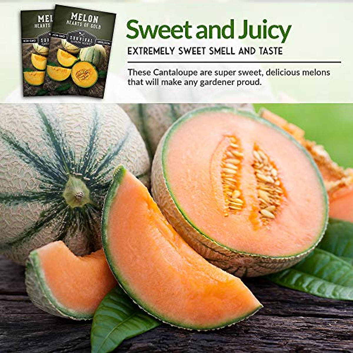 Survival Garden Seeds - Hearts of Gold Melon Seed for Planting - Packet with Instructions to Plant and Grow Sugar Sweet Cantaloupe Fruit in Your Home Vegetable Garden - Non-GMO Heirloom Variety