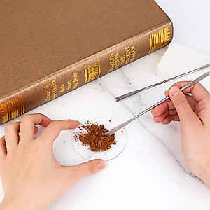 2PCS Stainless Steel Lab Laboratory Mini Double-Ended Spatula Micro Square/Round End Spatula, 6.2"